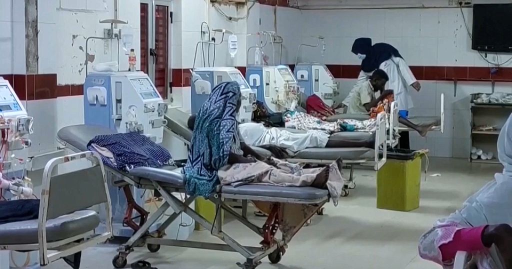 Sudan's Health Crisis: Millions Need Aid Amidst Wartime Collapse | Brief